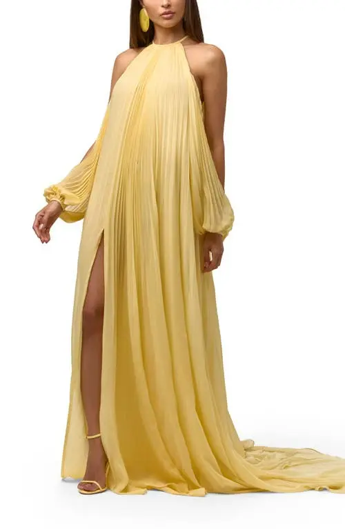 Naked Wardrobe Pleated Chiffon Halter Maxi Dress