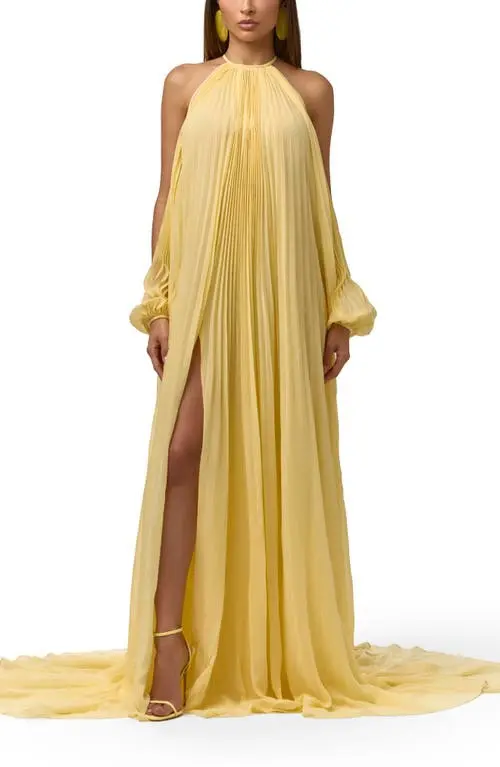 Naked Wardrobe Pleated Chiffon Halter Maxi Dress