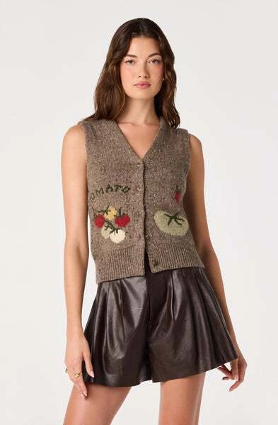 Astr The Label Eira Intarsia Sweater Vest