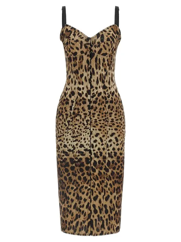 Dolce & Gabbana Animal-print Corset Dress - Brown