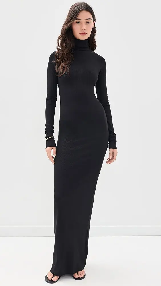 Eterne Long Sleeve Turtleneck Maxi Dress