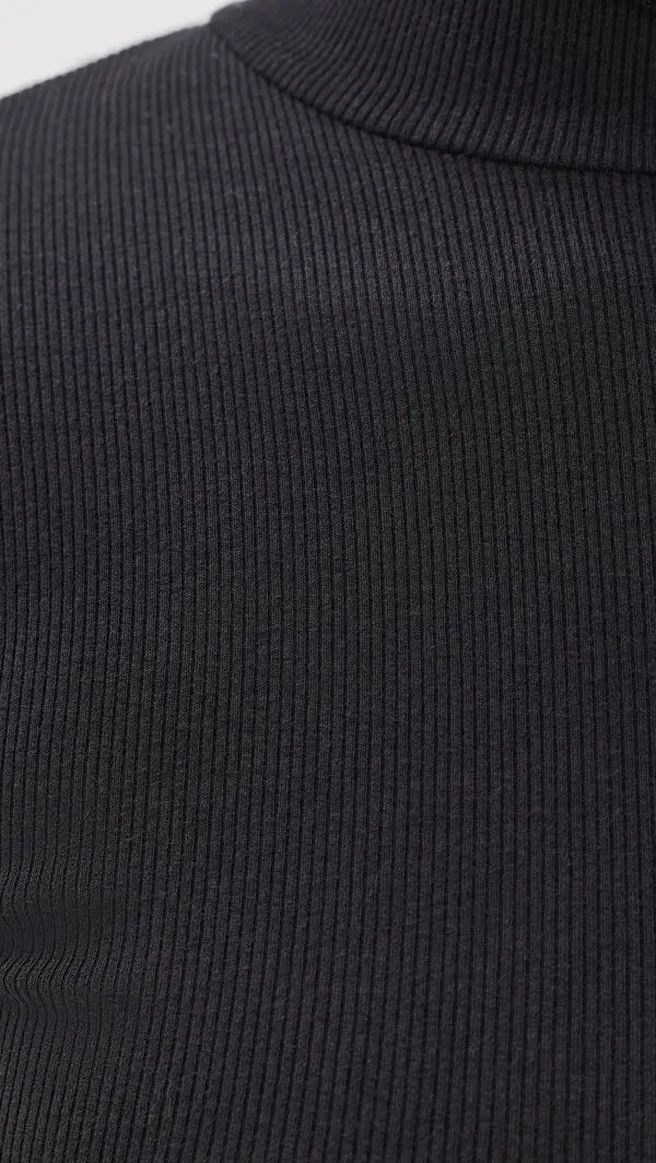 Eterne Long Sleeve Turtleneck Maxi Dress