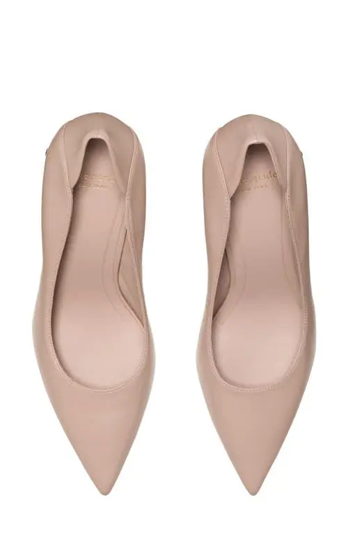 Kate Spade New York Daphne Pointed Toe Stiletto Pumps - Pale Vellum