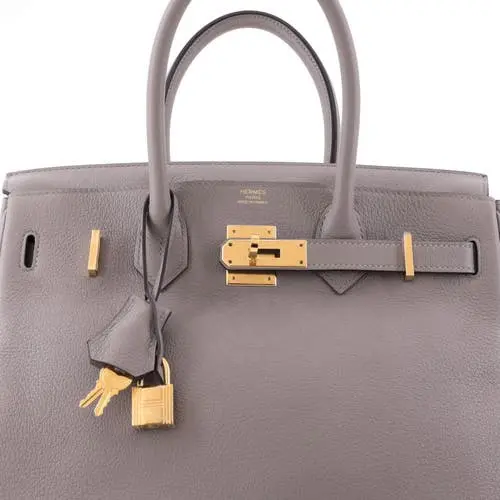 Hermès Birkin Handbag Novillo With Gold Hardware 30