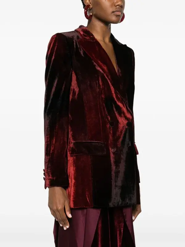 Alberta Ferretti Double-breasted Velvet Blazer