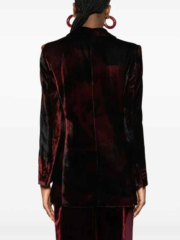 Alberta Ferretti Double-breasted Velvet Blazer