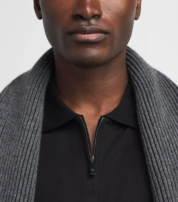 Pal Zileri Cotton Zip-up Polo Shirt