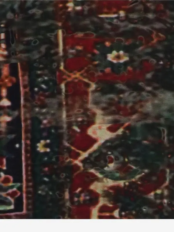 Faliero Sarti New Carpet Print Stole