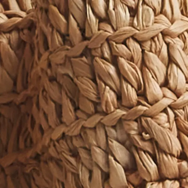 Chloé Small Raffia Summer Banana East-west Tote Bag