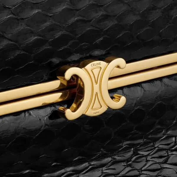 Celine Cube In Python