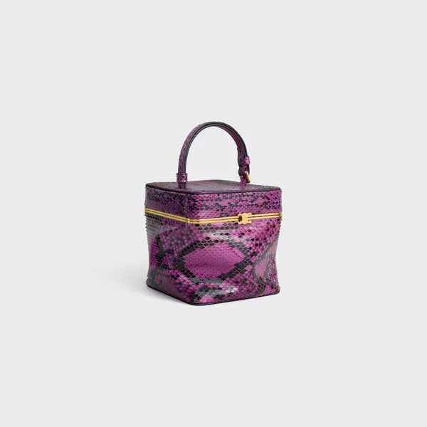 Celine Cube Python Handheld Bag