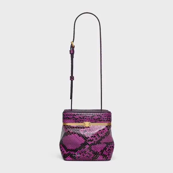 Celine Cube Python Handheld Bag