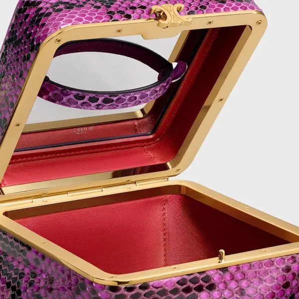 Celine Cube Python Handheld Bag
