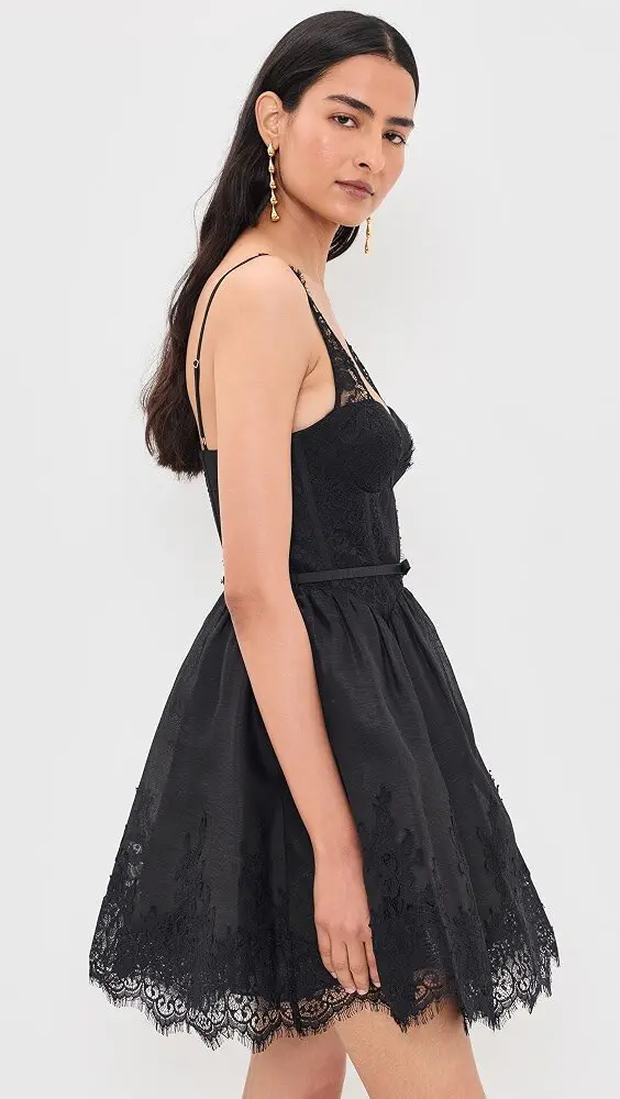 Zimmermann Valiant Lace Trim Mini Dress