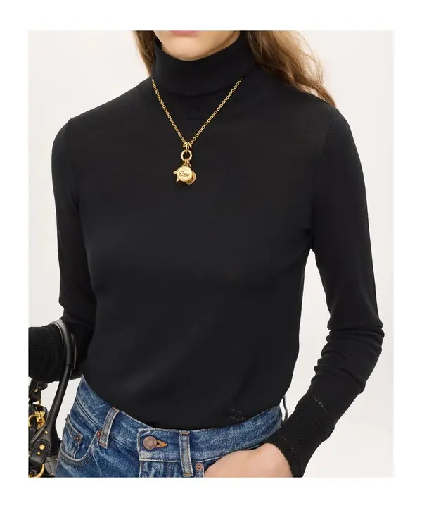 Chloé Fitted Turtleneck In Wool Knit