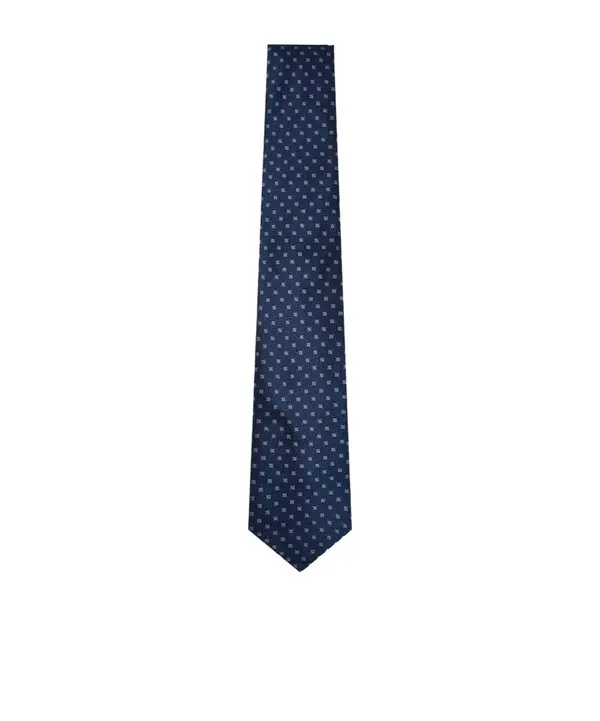 Canali Pointed-tip Tie