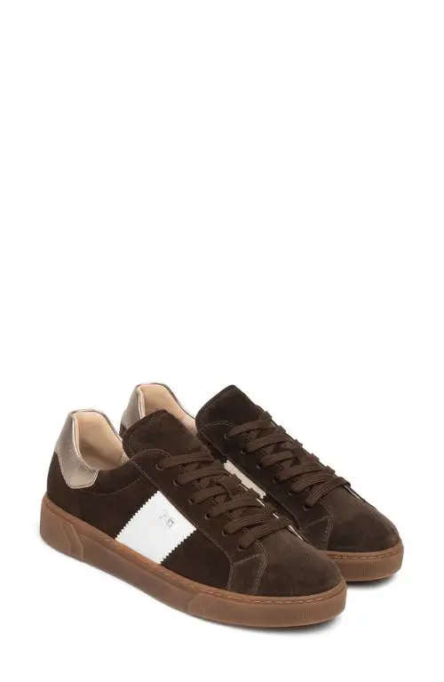 NEROGIARDINI Retro Low Top Leather Sneaker - Chocolate