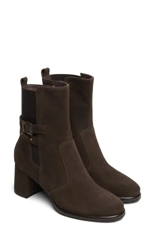 NEROGIARDINI Leather Block Heel Chelsea Bootie - Chocolate