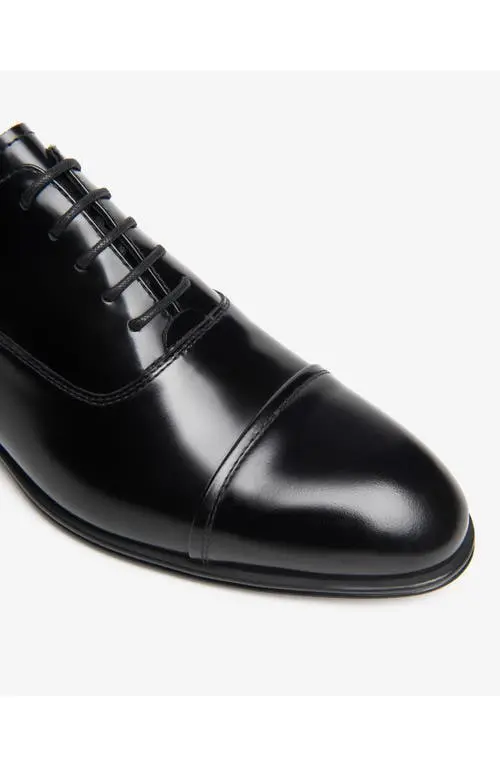NEROGIARDINI Cap Toe Oxford