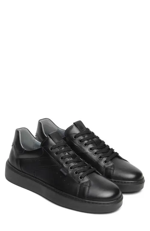 NEROGIARDINI Leather Low Top Sneaker - Black