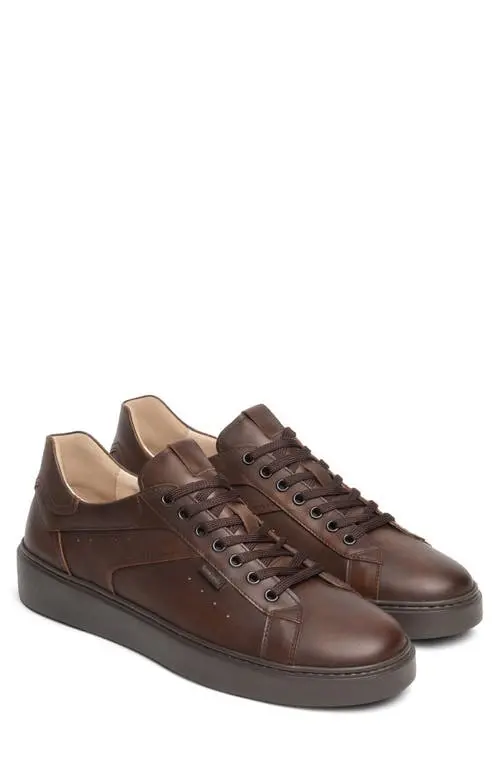 NEROGIARDINI Leather Low Top Sneaker - Brown