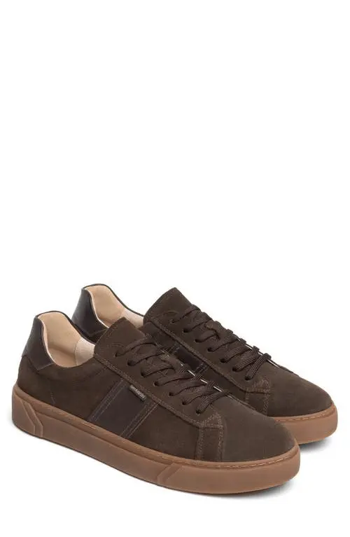 NEROGIARDINI Leather Low Top Sneaker - Chocolate