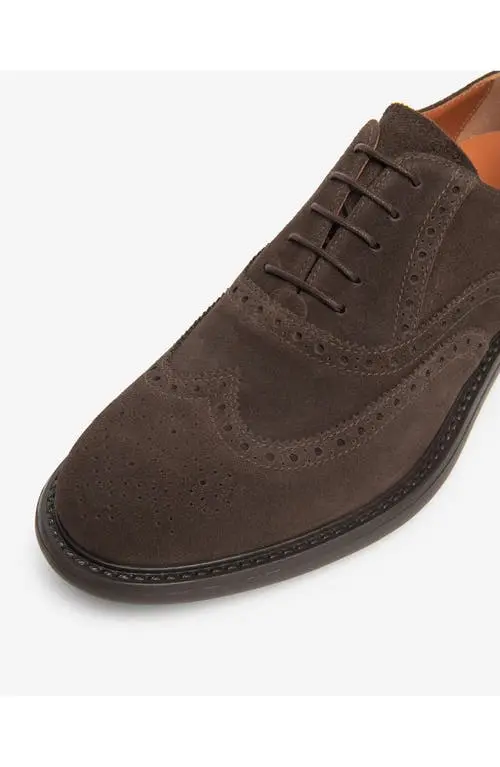 NEROGIARDINI Wingtip Oxford