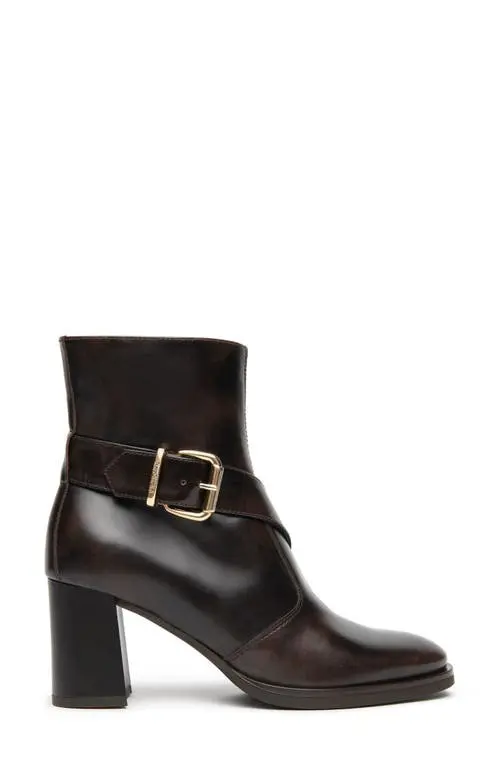 NEROGIARDINI Leather Ankle Strap Block Heel Booties - Chocolate