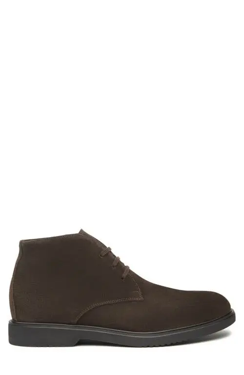 NEROGIARDINI Chukka Boot