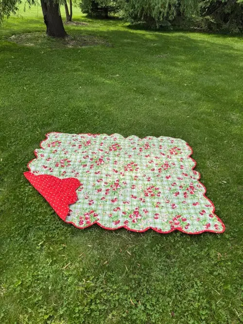 MODERN PRAIRIE Strawberry Gingham Throw
