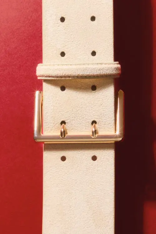 H&M Wide Belt