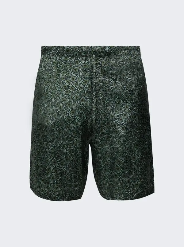 Dries Van Noten Printed Viscose Twill Shorts - Green