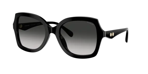 COACH Sunglass Cw225 - Grey Gradient