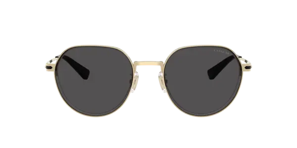 COACH Sunglass Cae81
