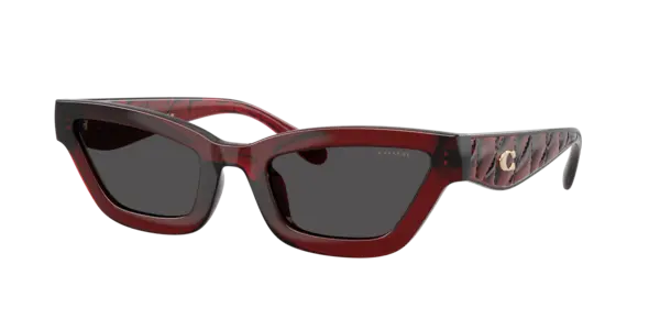 COACH Sunglass Cad28 - Grey Solid