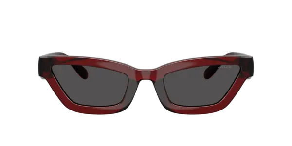 COACH Sunglass Cad28