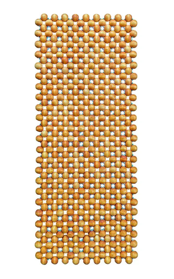 PIEN STUDIOS Coaster Runner