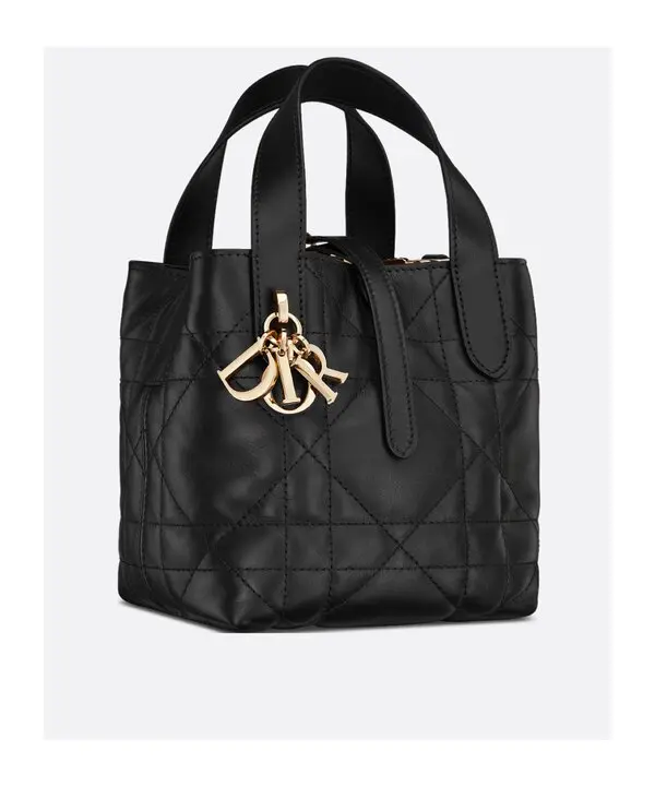 Dior Toujours Vertical Nano Tote Bag