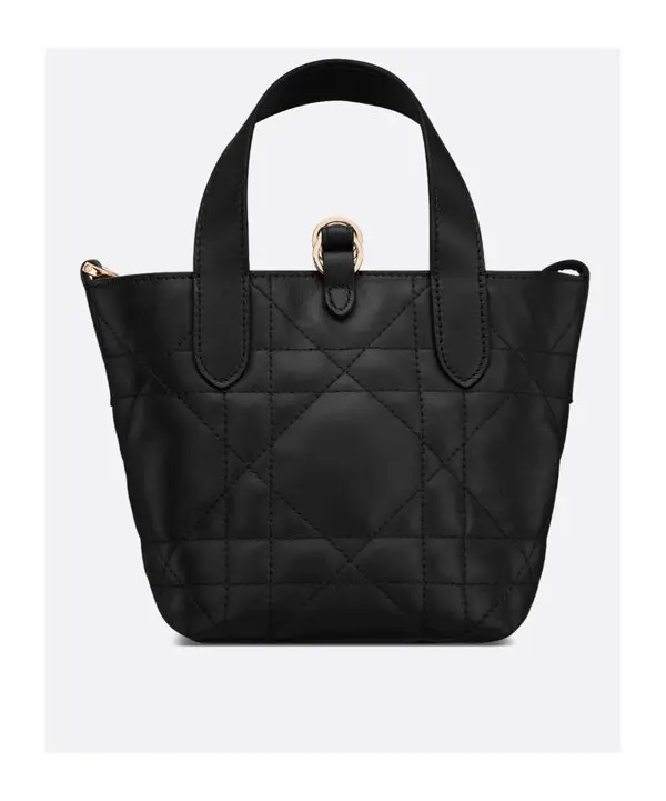 Dior Toujours Vertical Nano Tote Bag