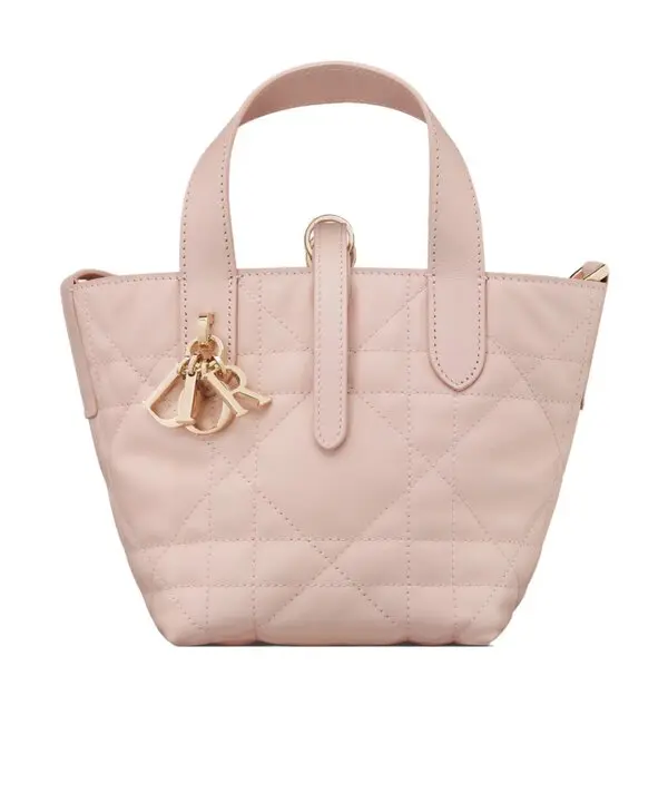 Dior Toujours Vertical Nano Tote Bag