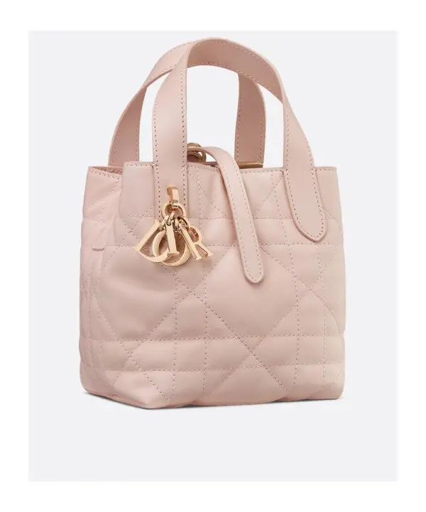 Dior Toujours Vertical Nano Tote Bag