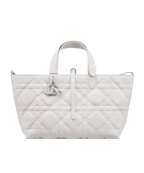 Dior Medium Toujours Bag