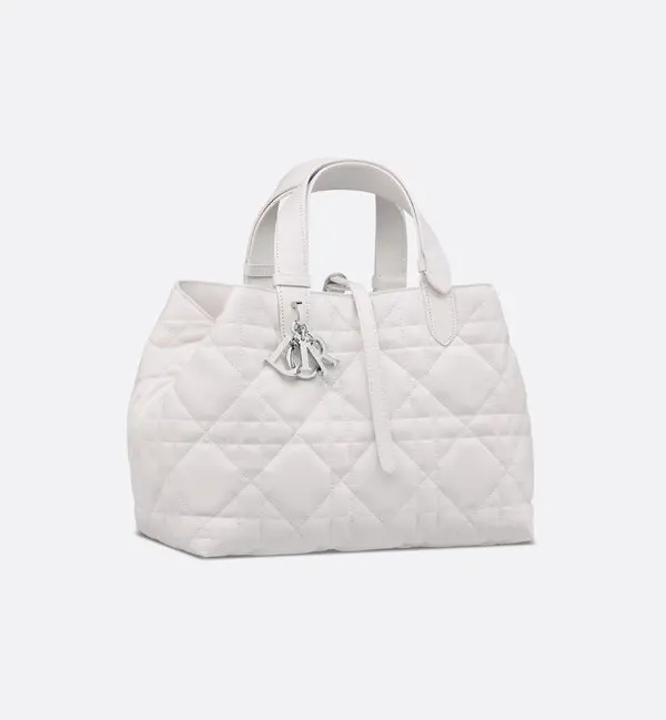 Dior Medium Toujours Bag