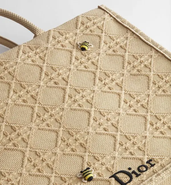 Dior Large Book Tote