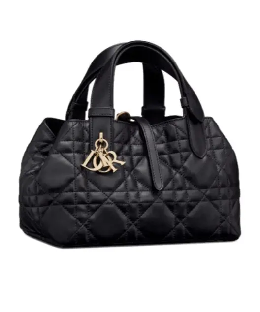 Dior Small Diortoujours Bag