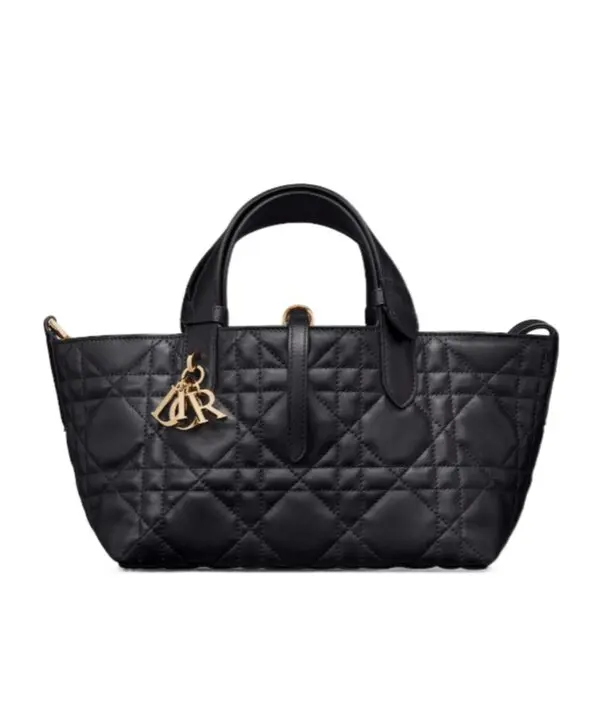 Dior Small Diortoujours Bag