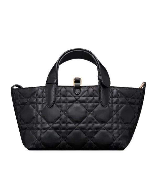 Dior Small Diortoujours Bag