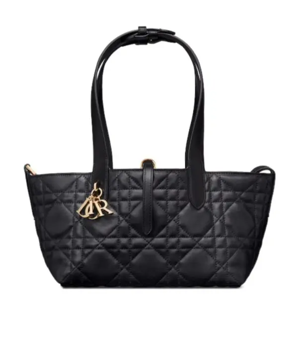 Dior Small Diortoujours Bag