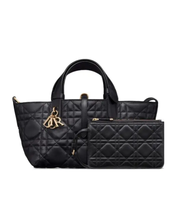 Dior Small Diortoujours Bag
