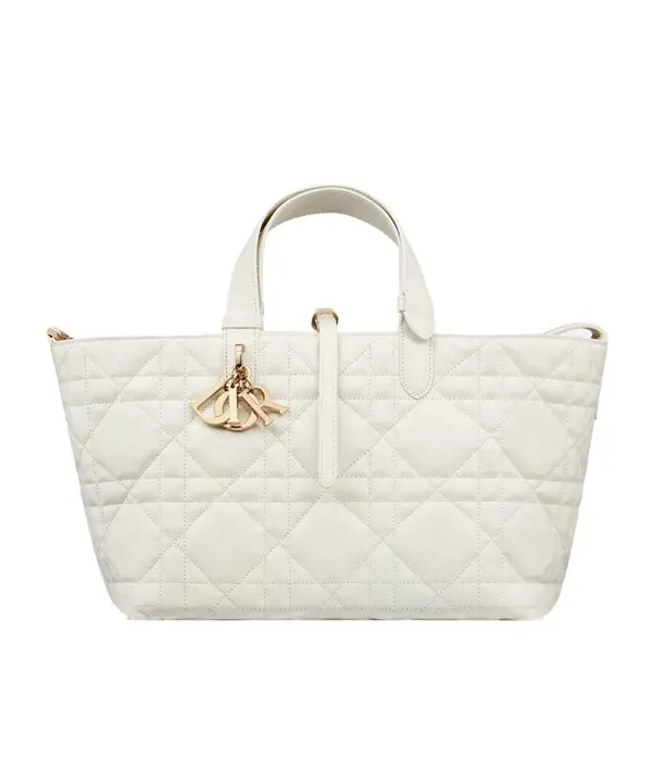 Dior Medium Toujours Bag